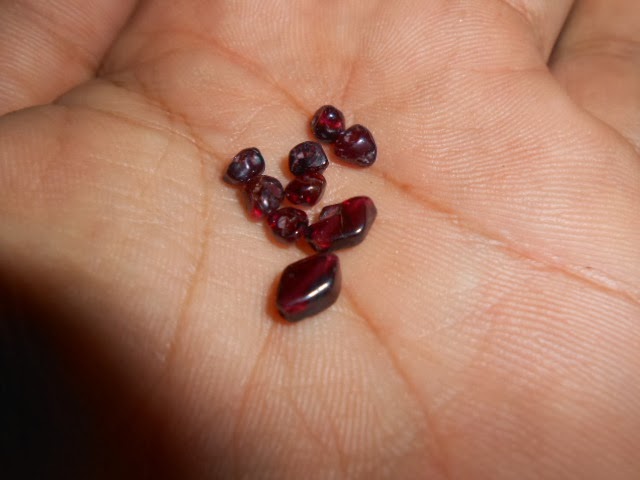 SELANGKAH KE ALAM MISTIK: GELIGA MERAH DELIMA @ DELIMA DALAM BUAH